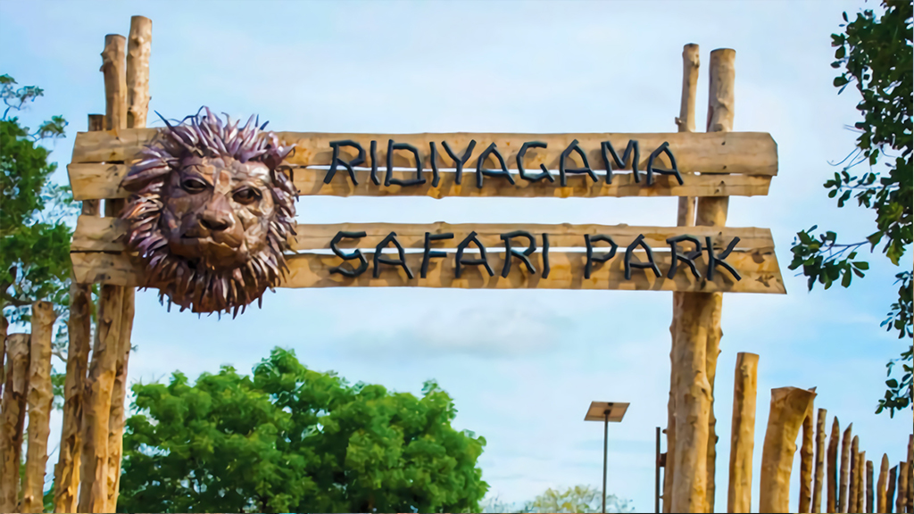 Ridiyagama Safari to Get Close to the Animal Kingdom